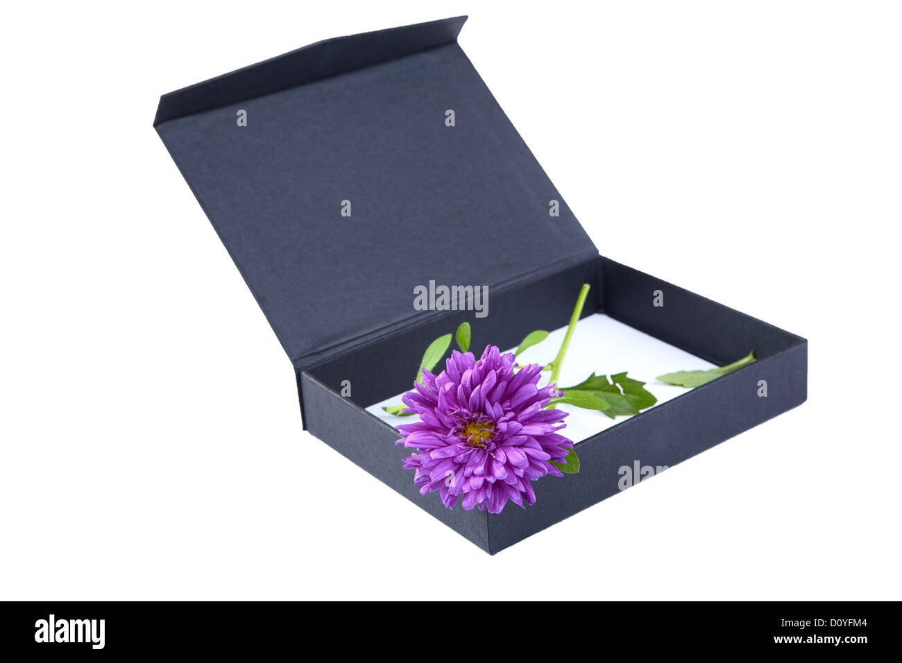 Open gift box with flower isolated Stock Photo - Alamy