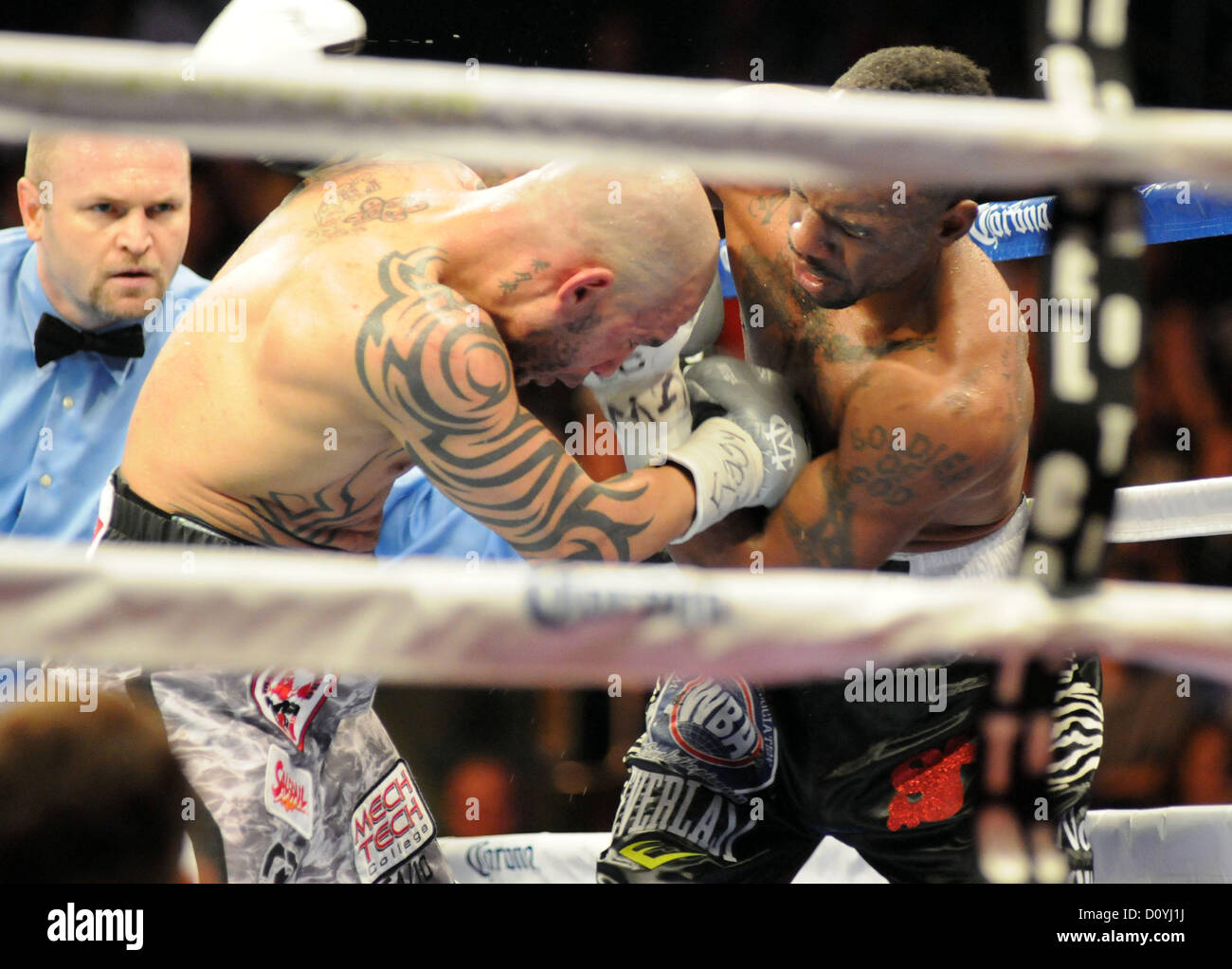 Austin trout hi-res stock photography and images - Alamy