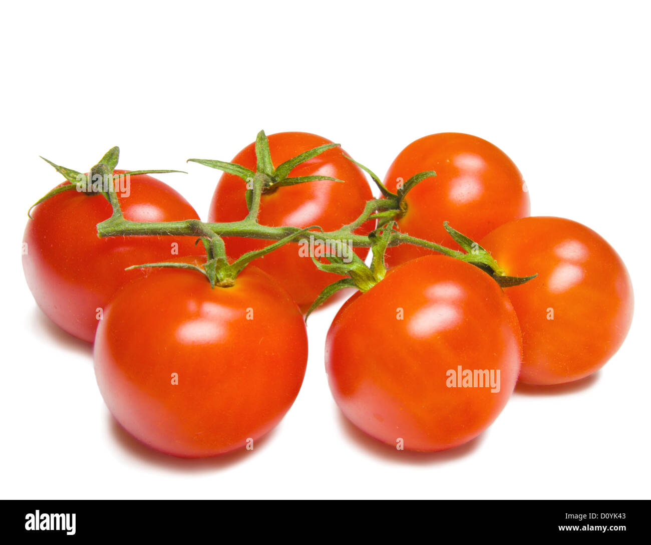 tomatoes isolated over white Stock Photo - Alamy