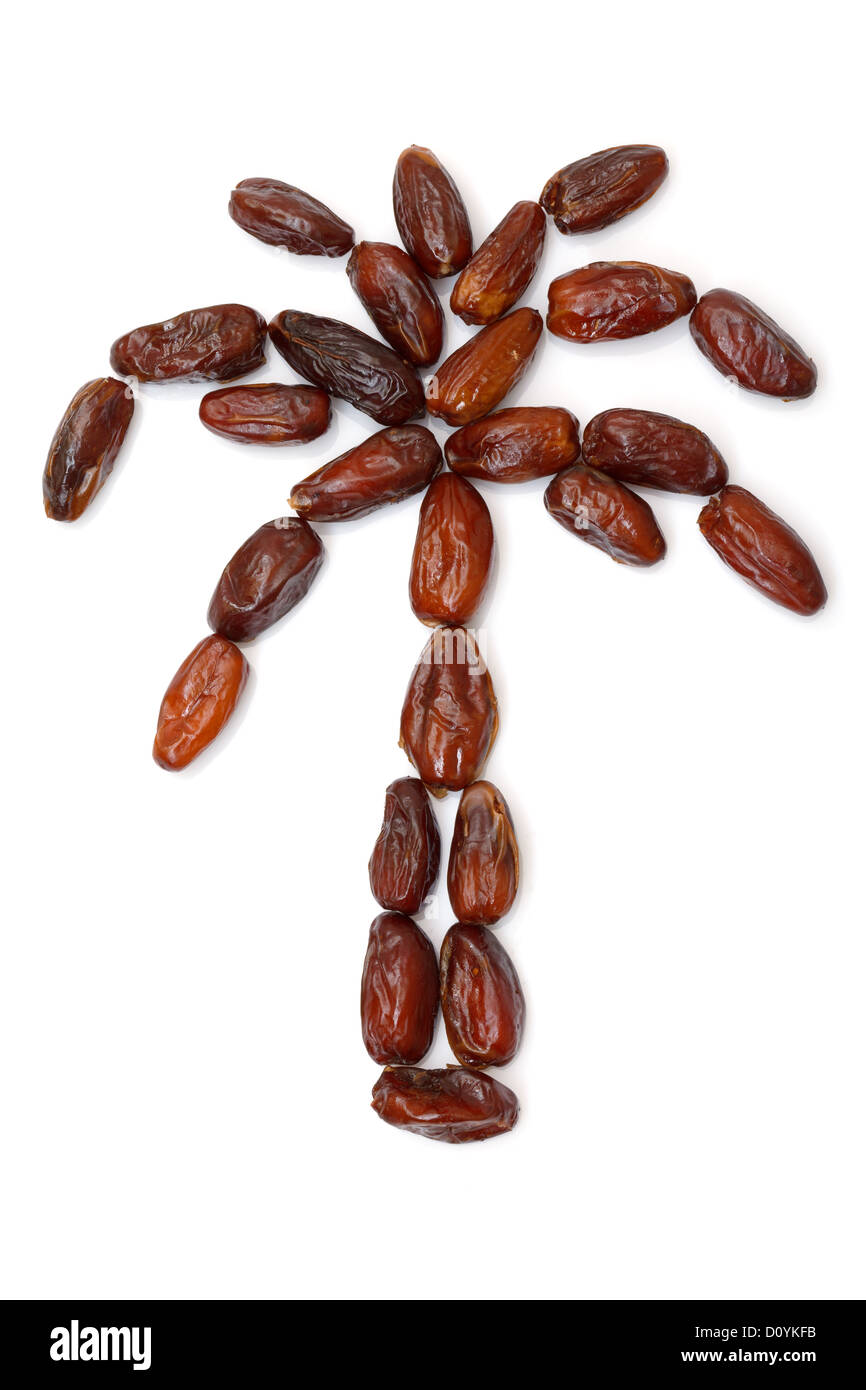 Date palm tree with dates Cut Out Stock Images & Pictures - Alamy
