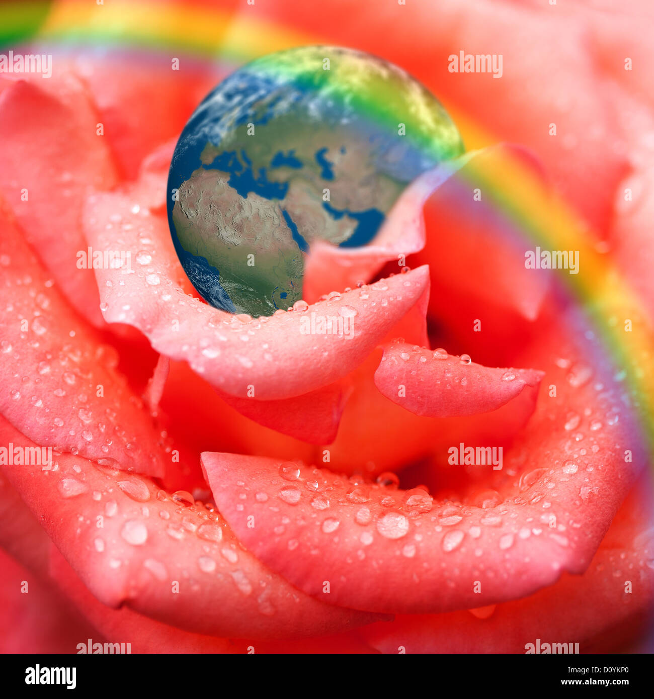Earth on rose petal Stock Photo - Alamy