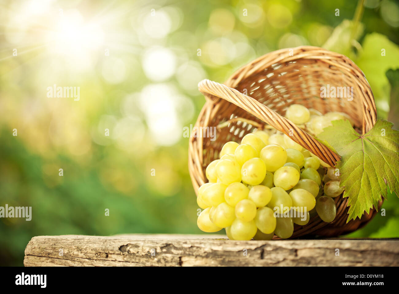 Bunch of graped and vine leaf in basket Stock Photo - Alamy