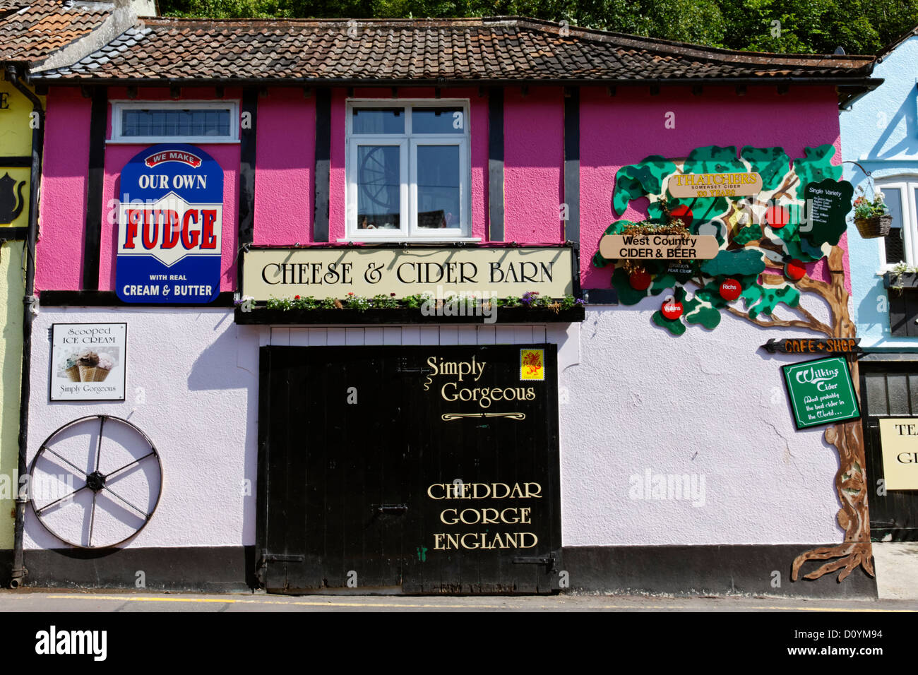 Cheese and Cider Barn, Cheddar Gorge, Somerset, England Stock Photo - Alamy