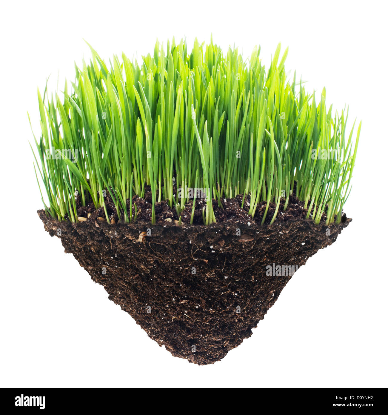 grass and turf Stock Photo - Alamy