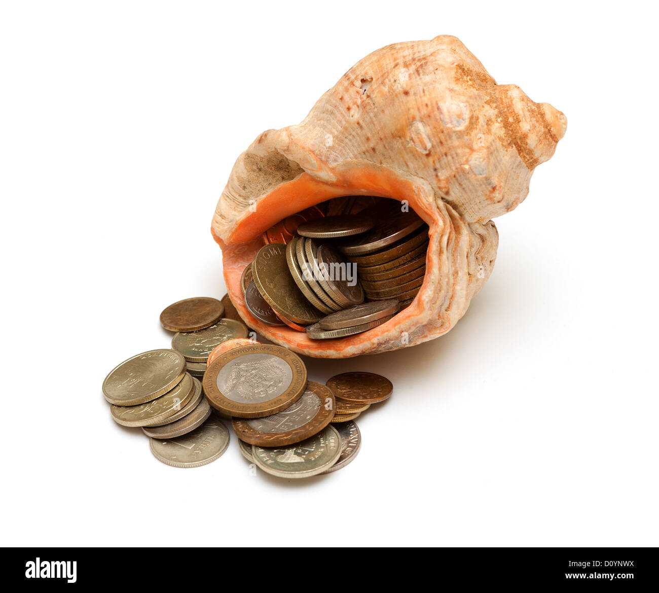 coins in seashell Stock Photo - Alamy
