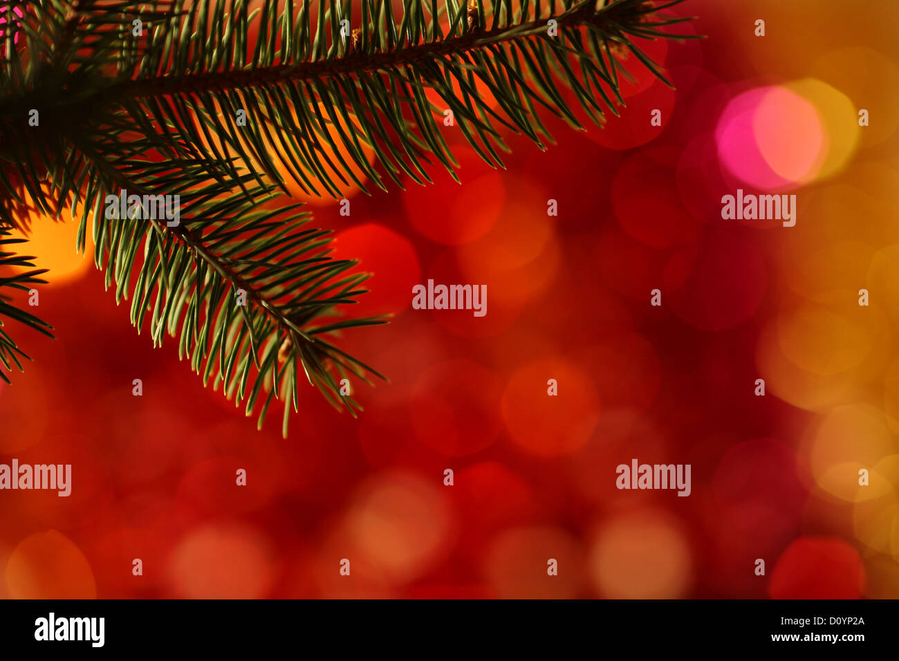 Evergreen bough hi-res stock photography and images - Alamy