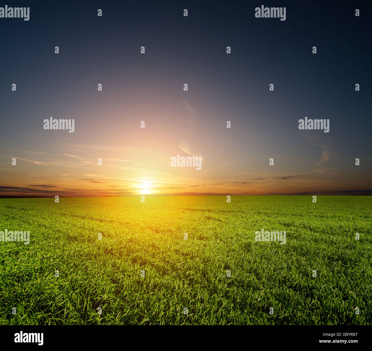 green field and beautiful sunset Stock Photo - Alamy