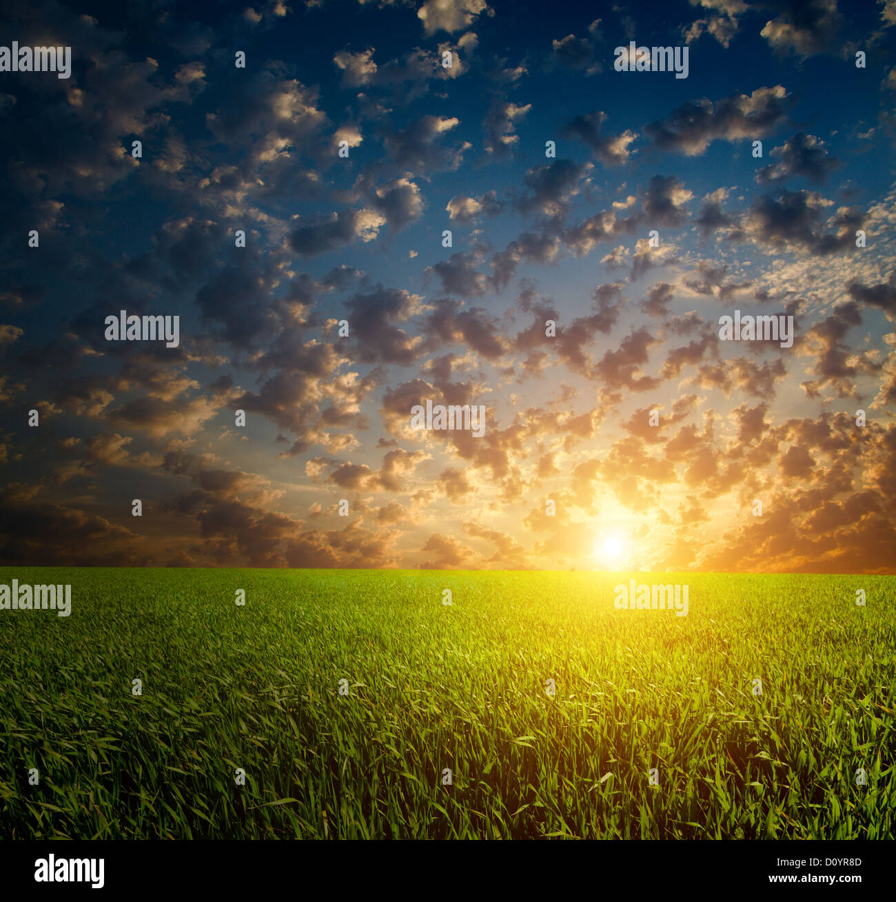 green field and beautiful sunset Stock Photo - Alamy