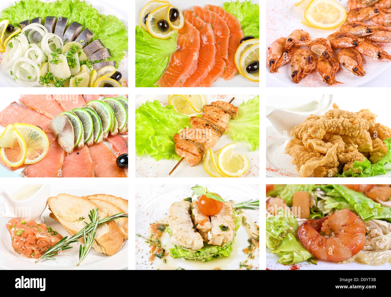 Hunchback shrimp hi-res stock photography and images - Alamy