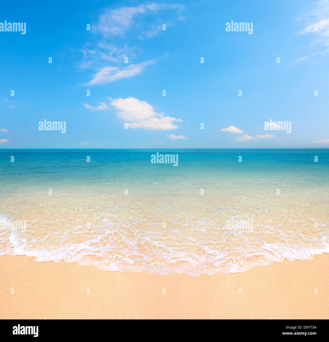 beach and clear tropical sea Stock Photo - Alamy