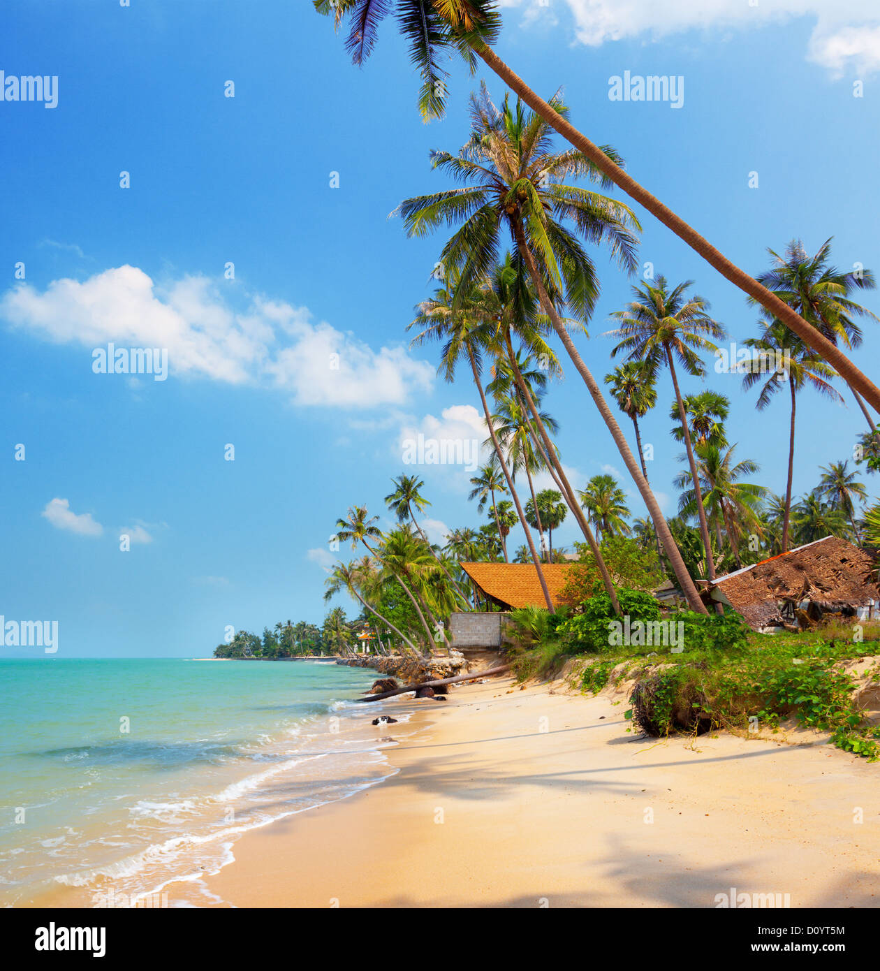 beach and clear tropical sea Stock Photo - Alamy