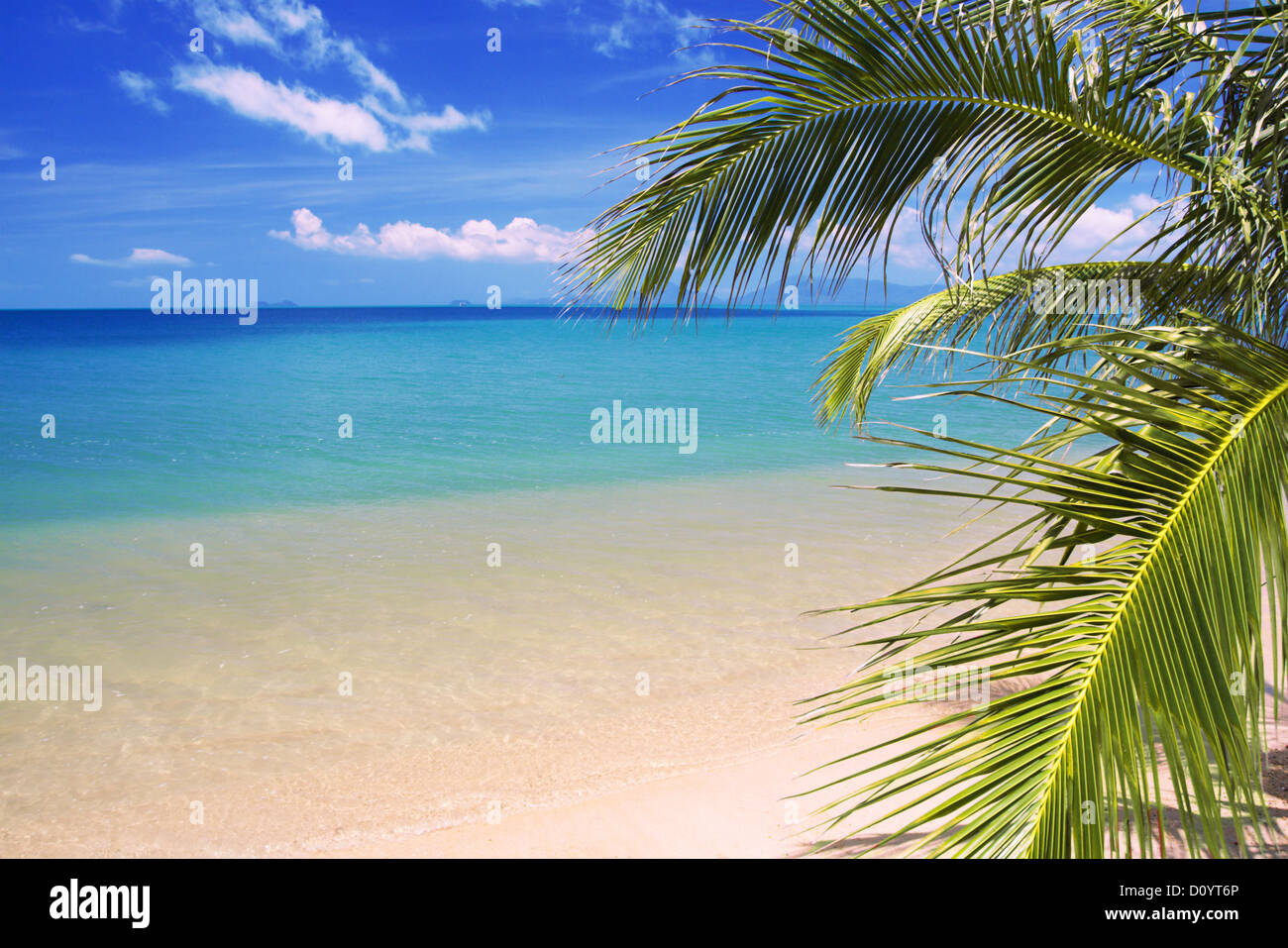 beach and clear tropical sea Stock Photo - Alamy
