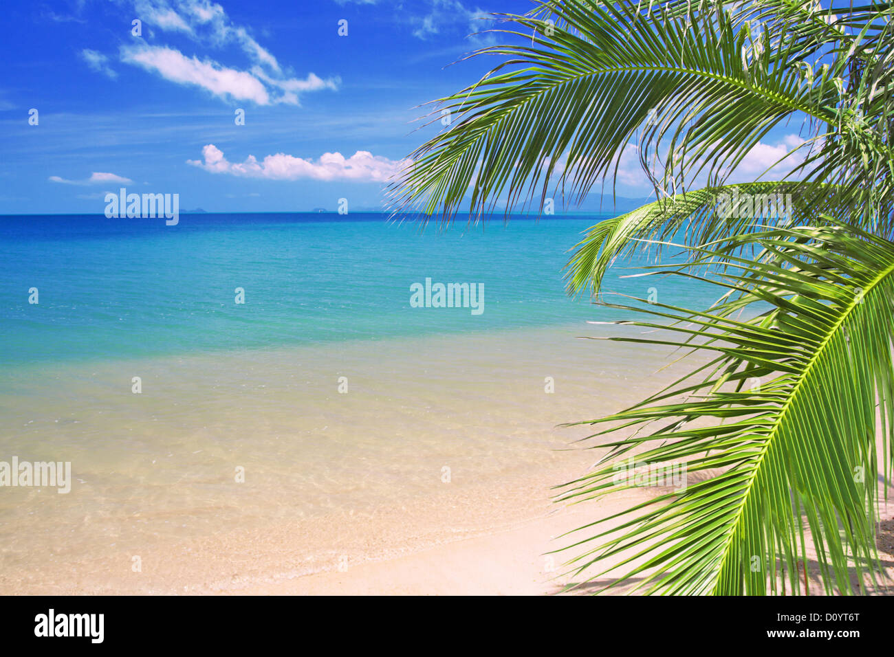 Wallpaper clear blue tropical sea hi-res stock photography and images ...