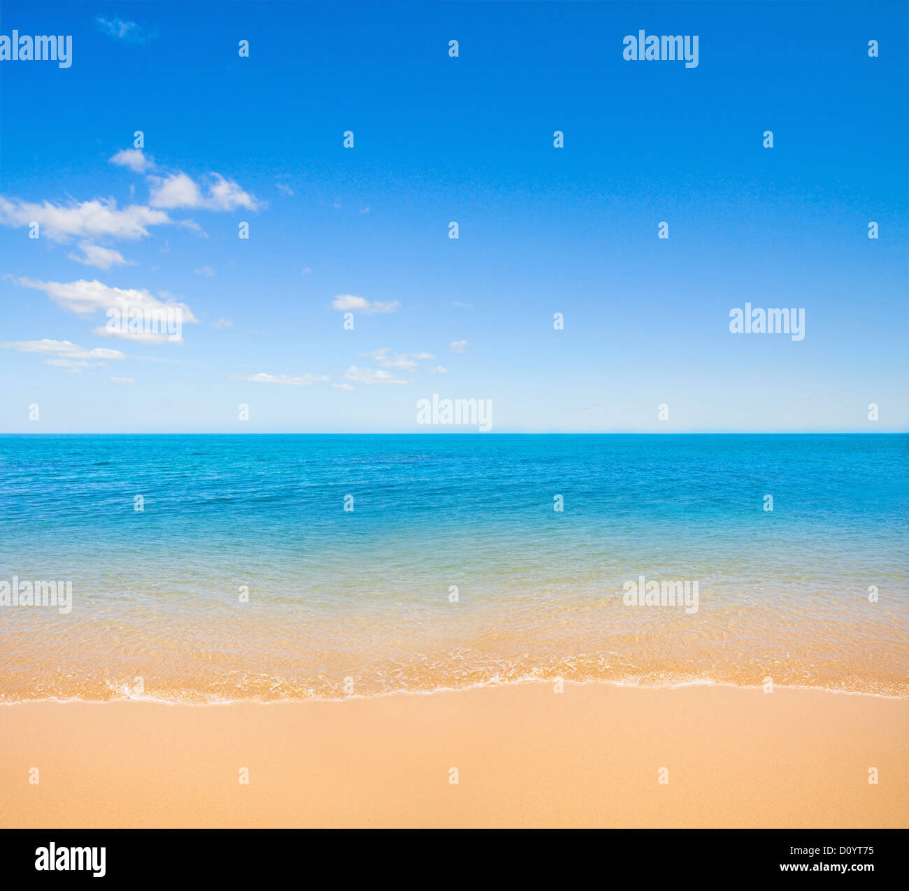 beach and clear tropical sea Stock Photo - Alamy