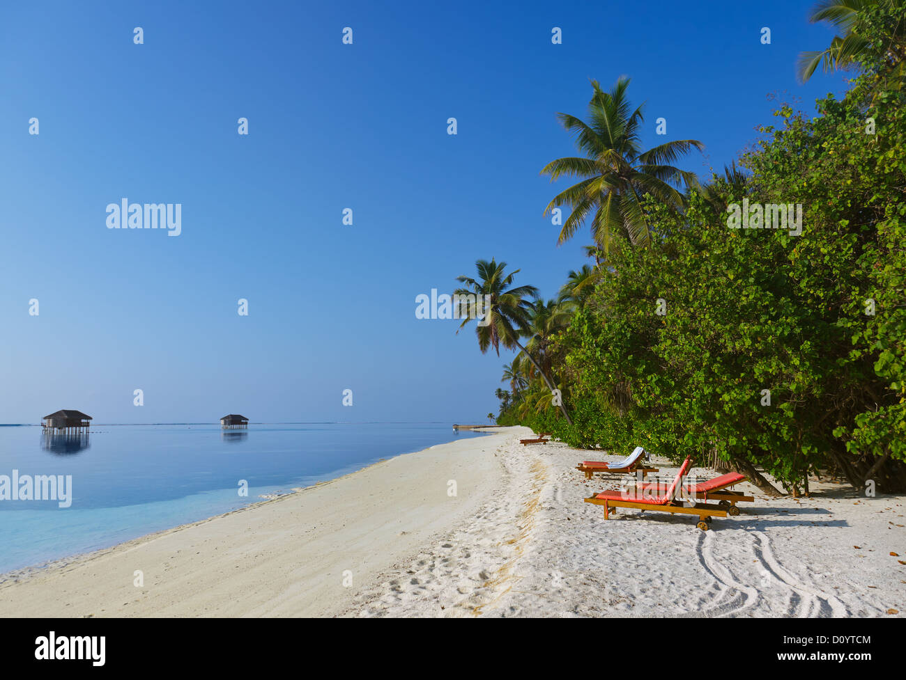 Tropical beach at Maldives Stock Photo - Alamy
