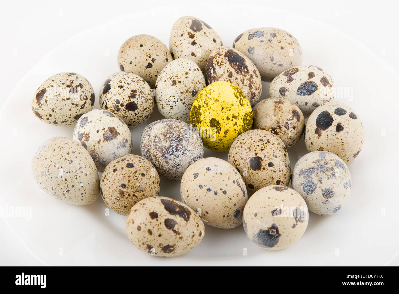 Gold quail egg Stock Photo - Alamy
