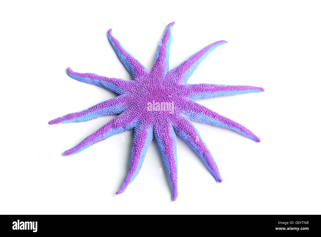 Green island reef Cut Out Stock Images & Pictures - Alamy