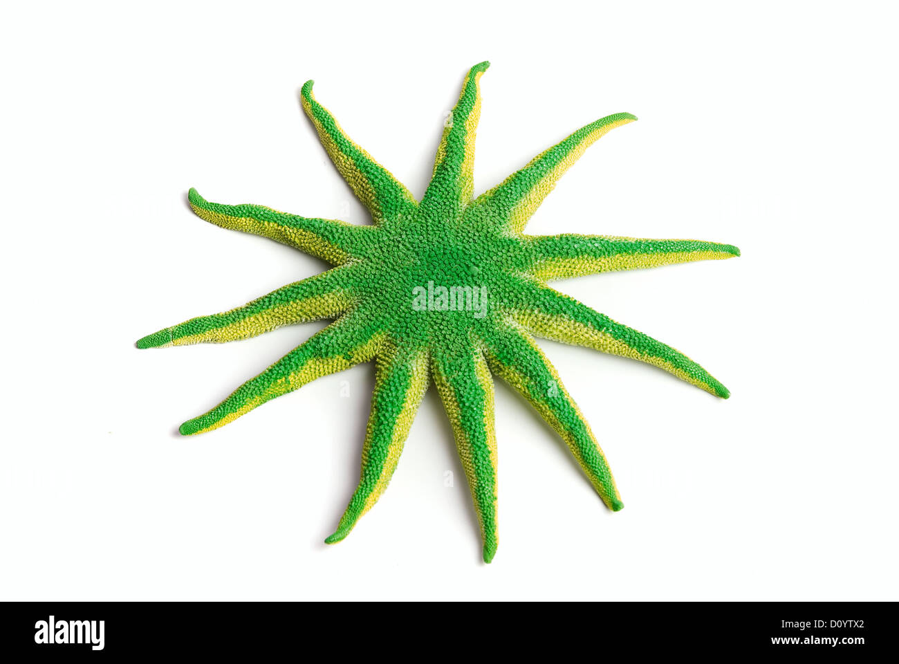 Snorkeling e hi-res stock photography and images - Alamy