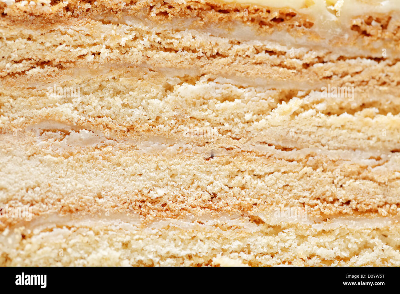 Cake texture hi-res stock photography and images - Alamy