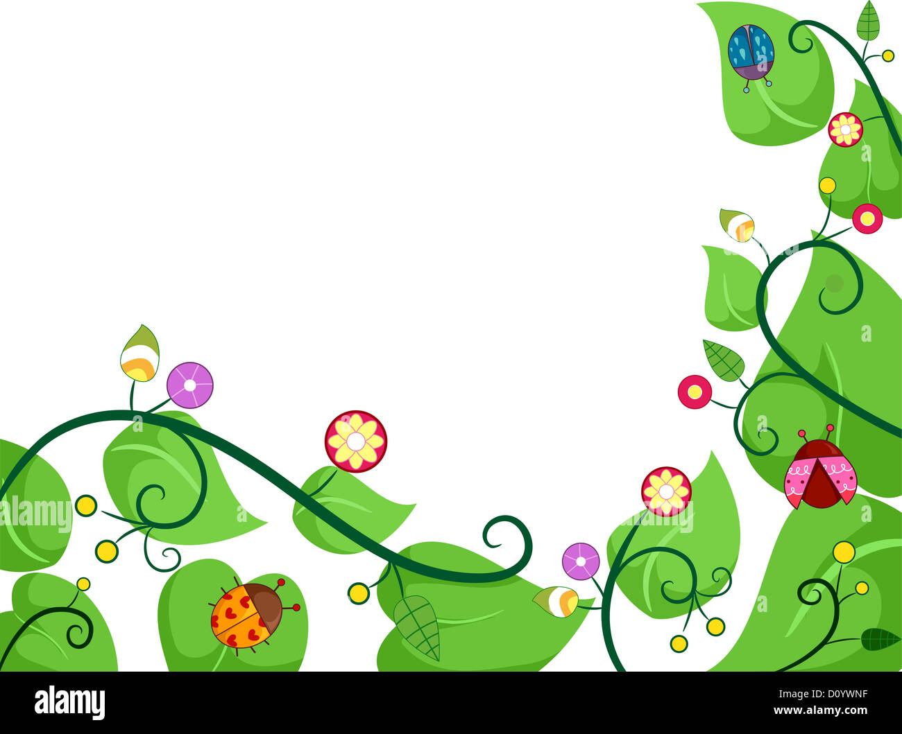 Border Illustration of Vines with Ladybugs Stock Photo - Alamy