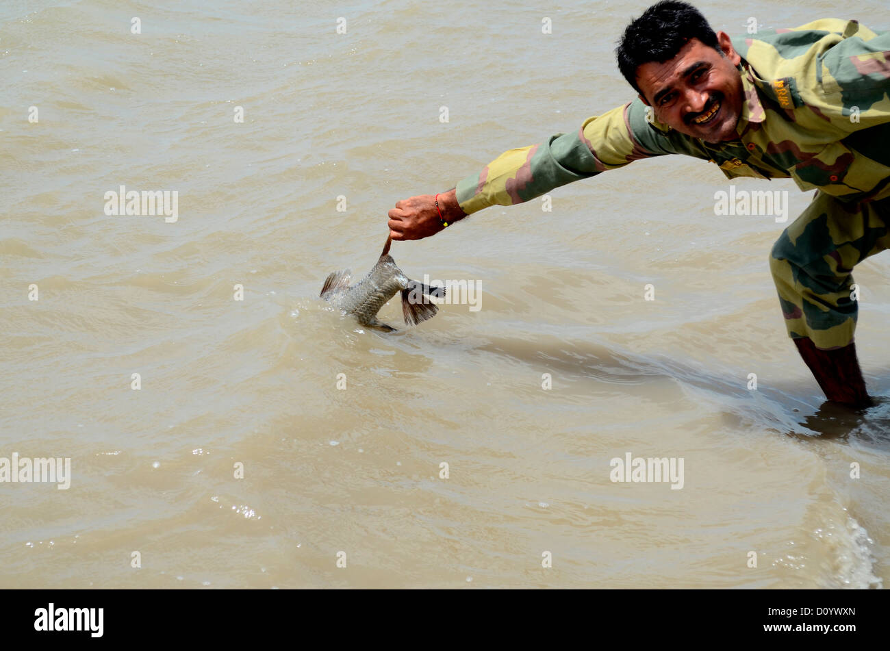 Soldier fish hi-res stock photography and images - Alamy