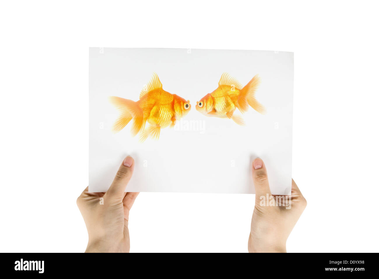 Golden fish design Cut Out Stock Images & Pictures - Alamy
