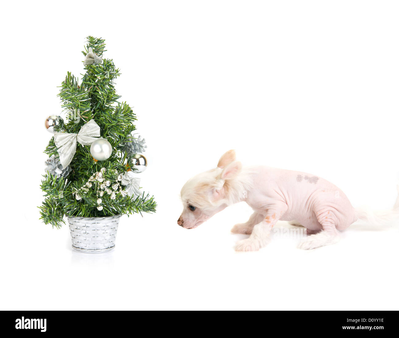 At new den Cut Out Stock Images & Pictures - Alamy