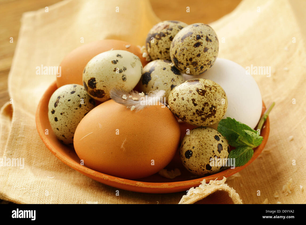 chicken and quail eggs , rustic style Stock Photo - Alamy