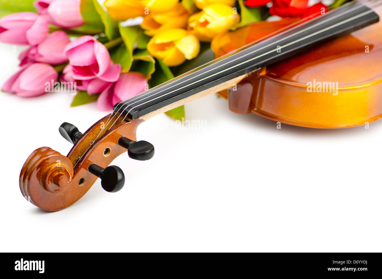 Cello flowers hi-res stock photography and images - Alamy