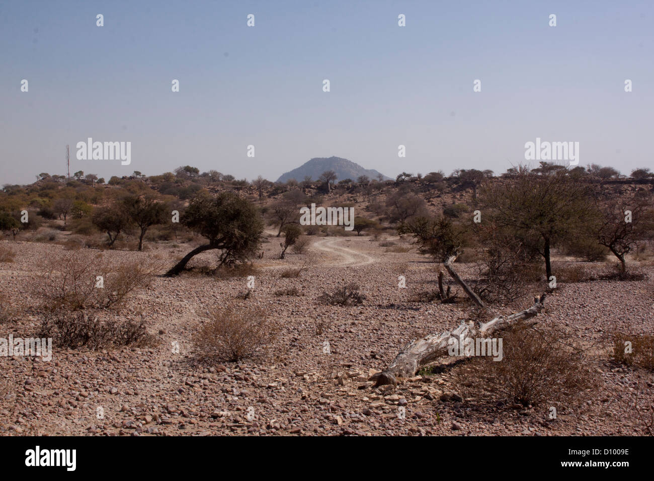 Dirt road leading to the Fripp coal mine by Mudimeli town Limpopo ...