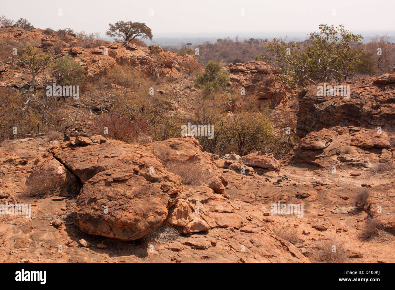 Mapungubwe national park hi-res stock photography and images - Alamy