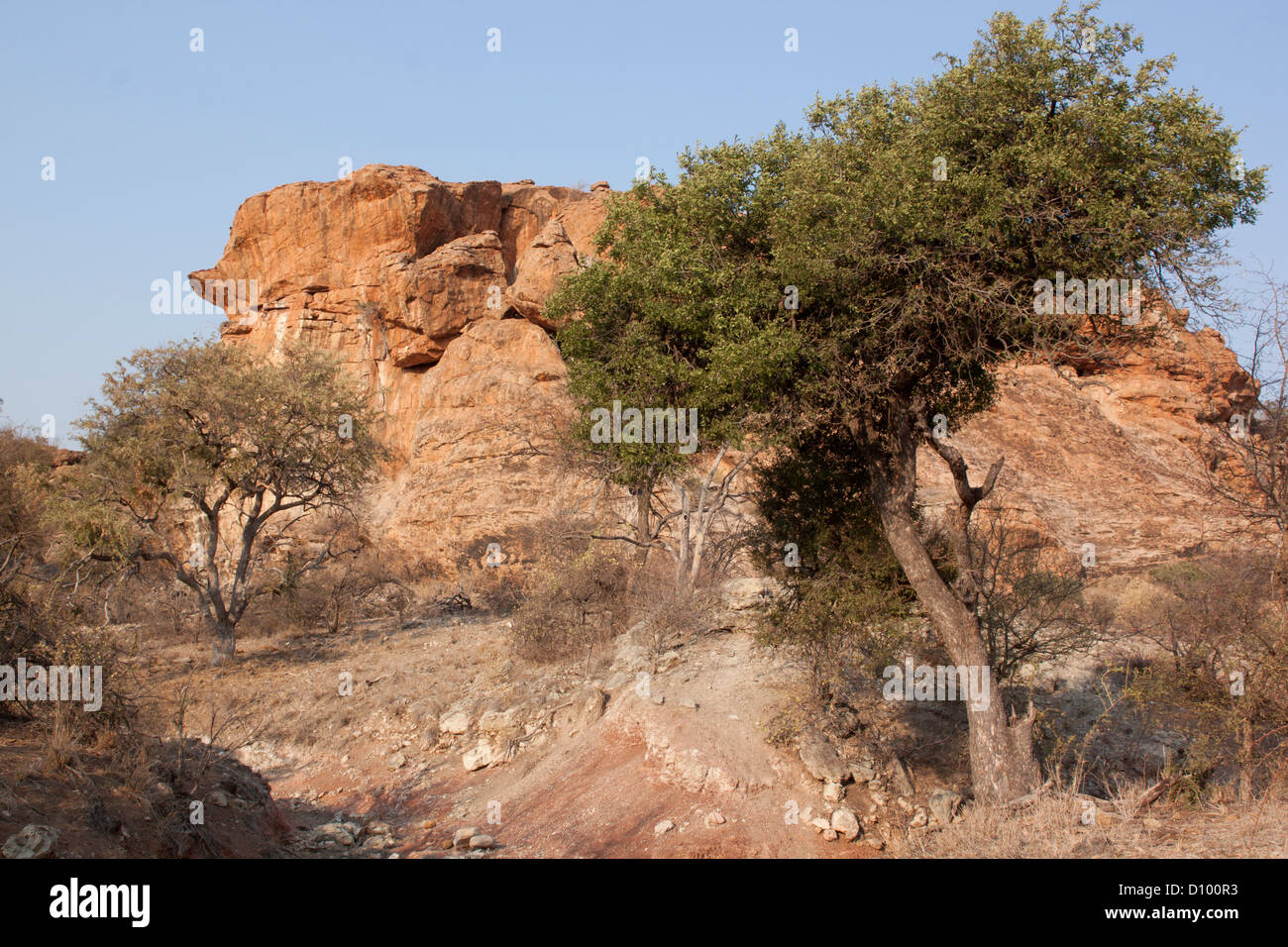River bed in Mapungubwe National Park a UNESCO World Heritage site in ...