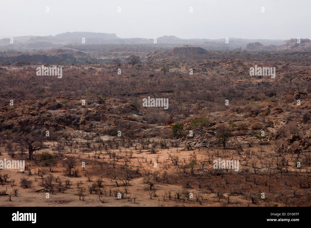Landscape Mapungubwe National Park a UNESCO World Heritage site in ...