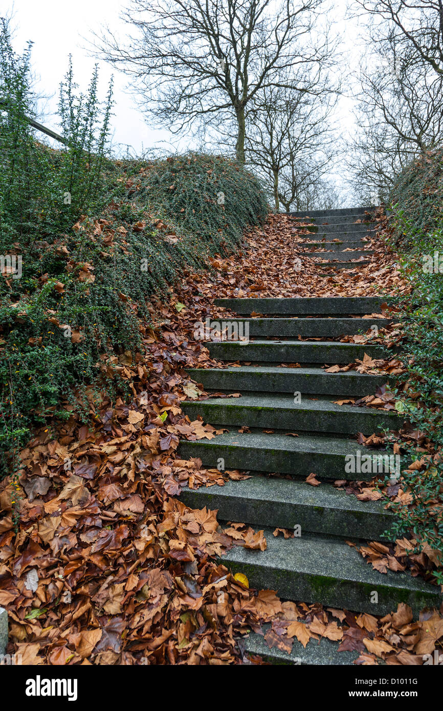 Autumn leaves on concrete slab steps Stock Photo - Alamy