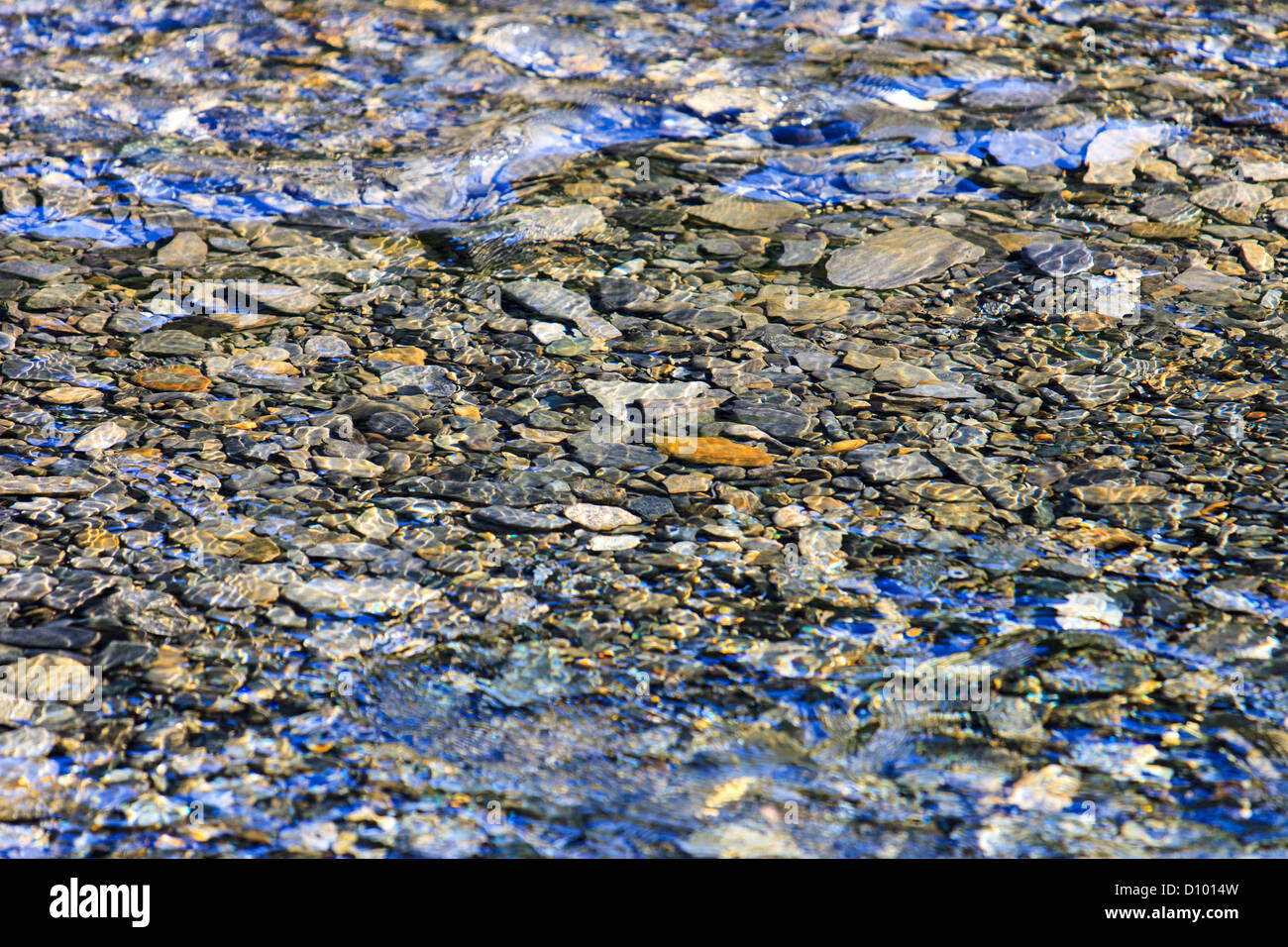 pebbles under water Stock Photo - Alamy