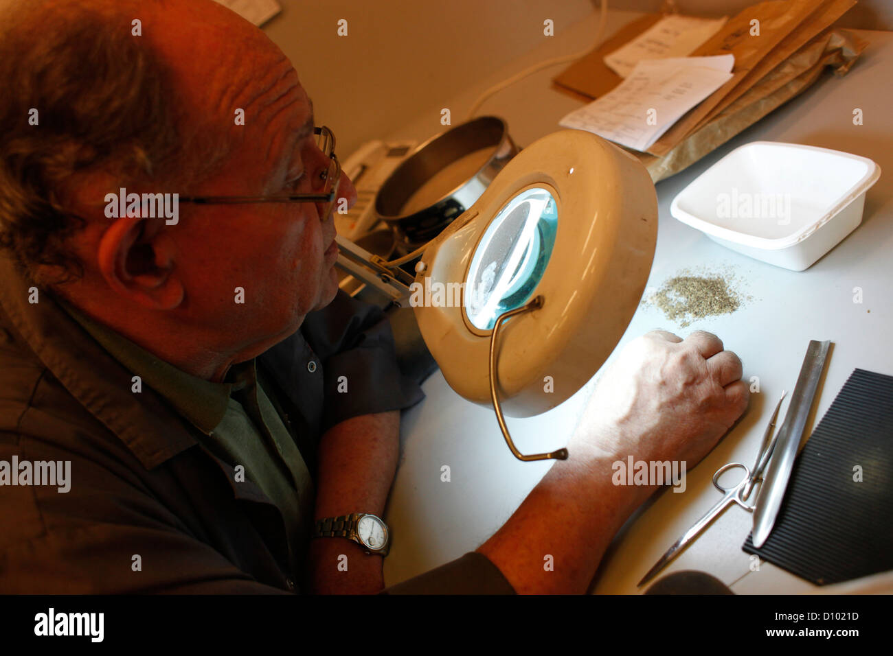 A research worker inspects grains through magnifying glass at the Gene ...