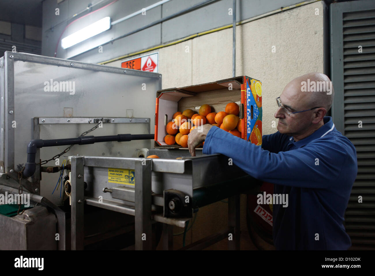 A person pouring oranges into a washing machine in a processing plant ...