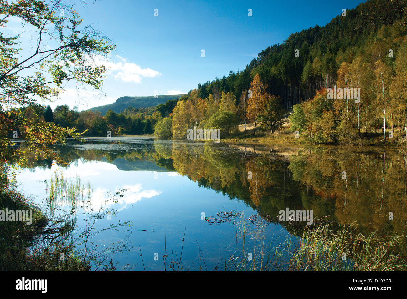 Polney loch, perthshire hi-res stock photography and images - Alamy