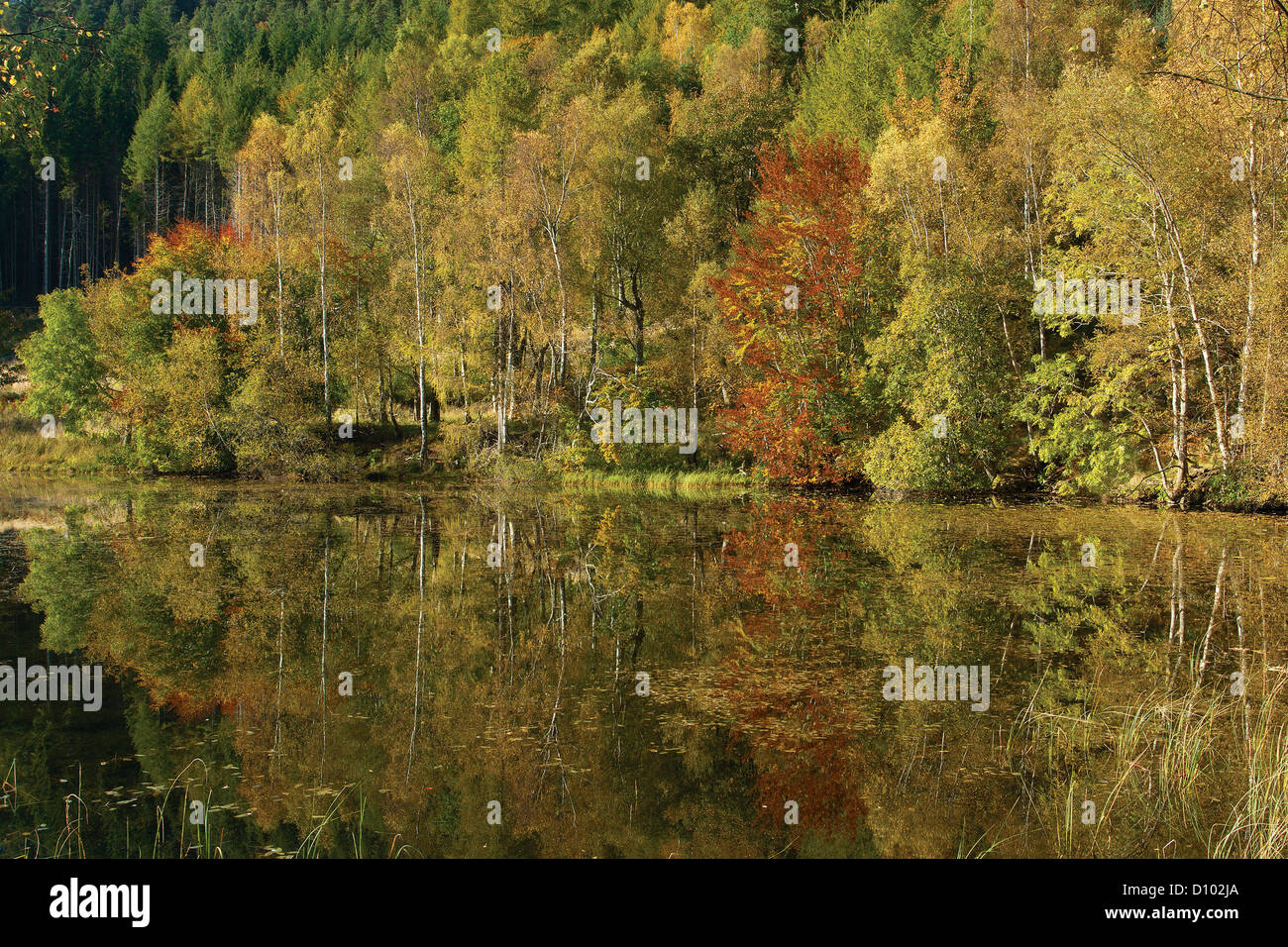 Polney loch hi-res stock photography and images - Alamy