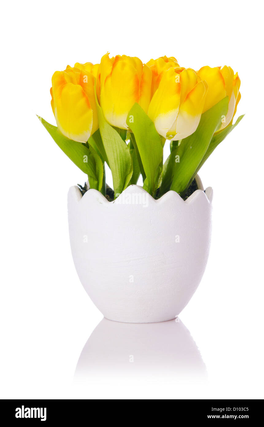 Colou flowers hi-res stock photography and images - Alamy