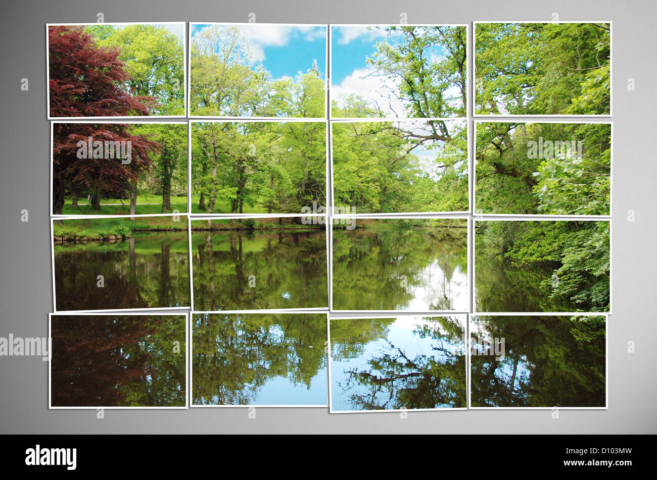 Photo cut pieces nature hi-res stock photography and images - Alamy