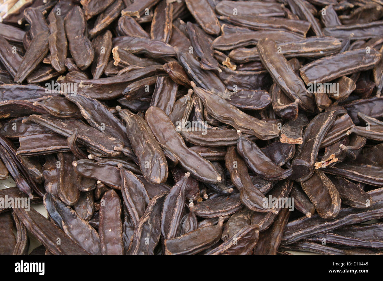 Brown locust hi-res stock photography and images - Alamy