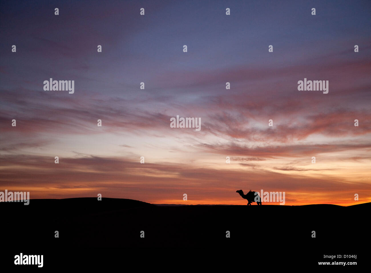 Erg Chebbi dunes, near Merzouga. The Sahara, Morocco Stock Photo - Alamy