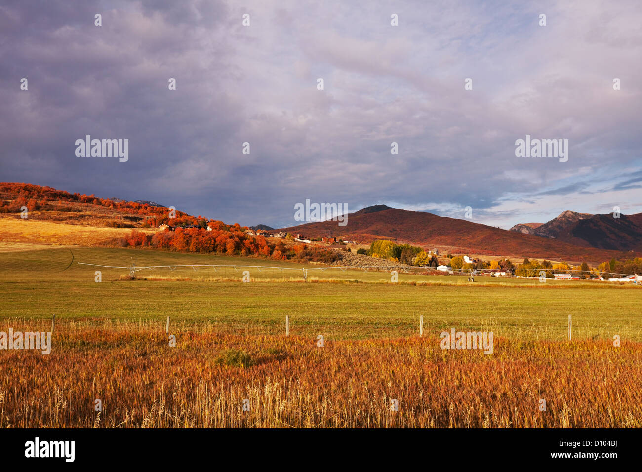 fields in fall season Stock Photo - Alamy