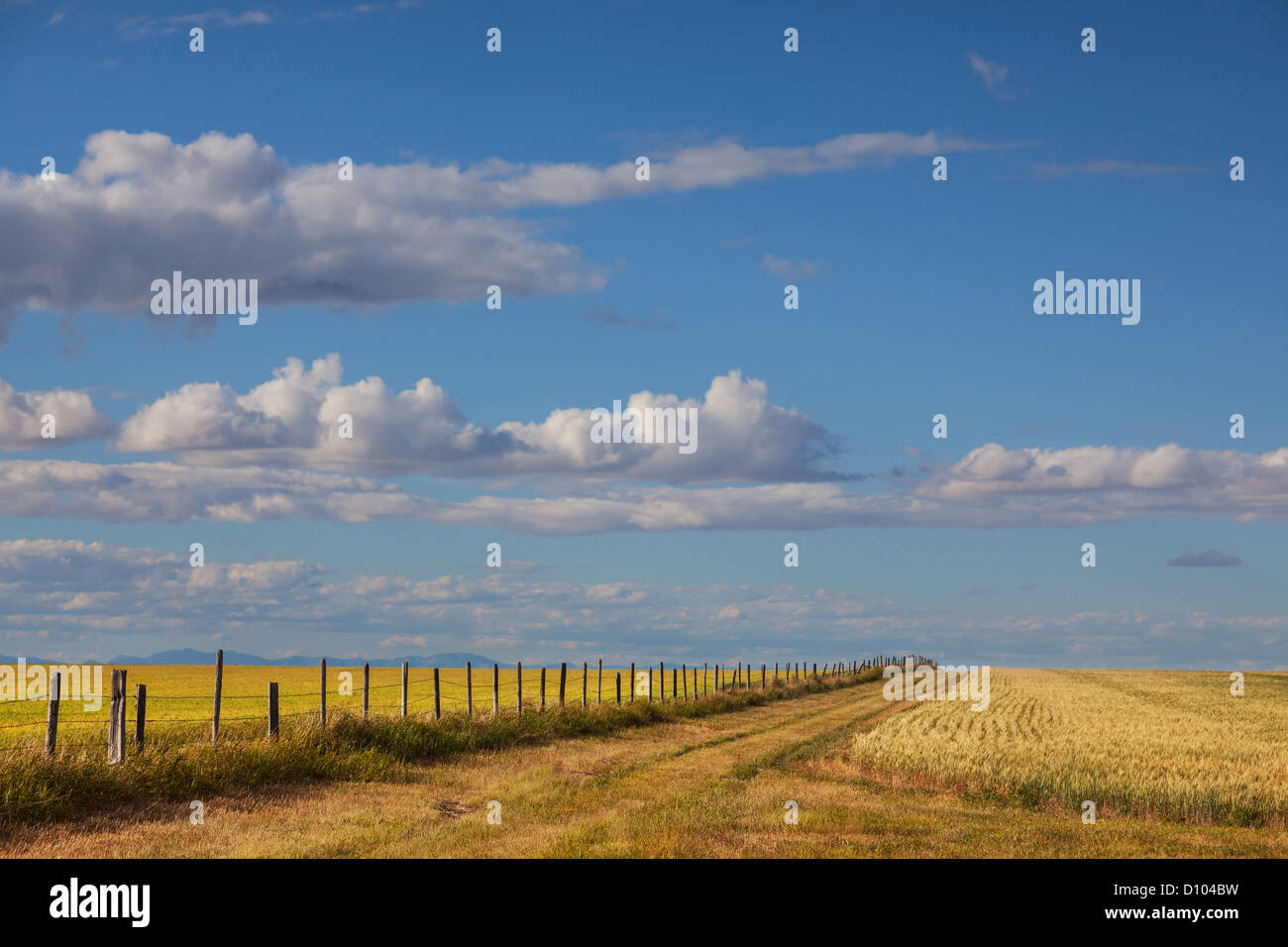 fields in fall season Stock Photo - Alamy