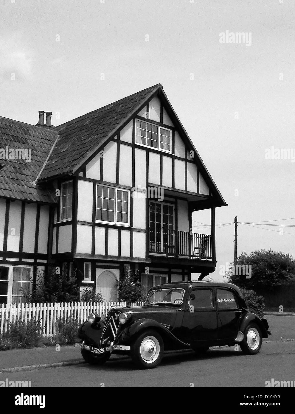 Toad of toad hall hi-res stock photography and images - Alamy