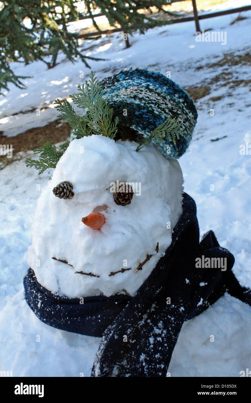 Children shoveling snow hi-res stock photography and images - Alamy