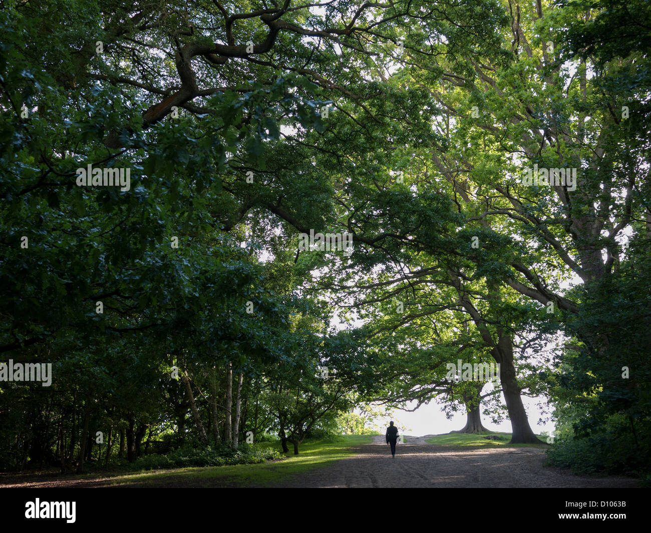 London walkers hi-res stock photography and images - Alamy