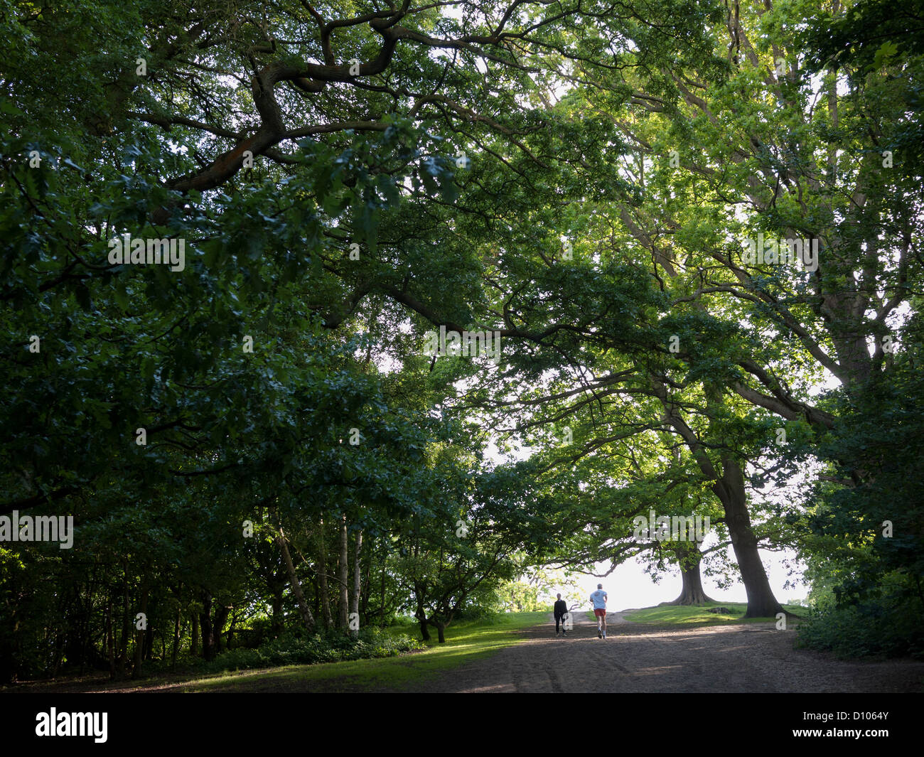 London walkers hi-res stock photography and images - Alamy