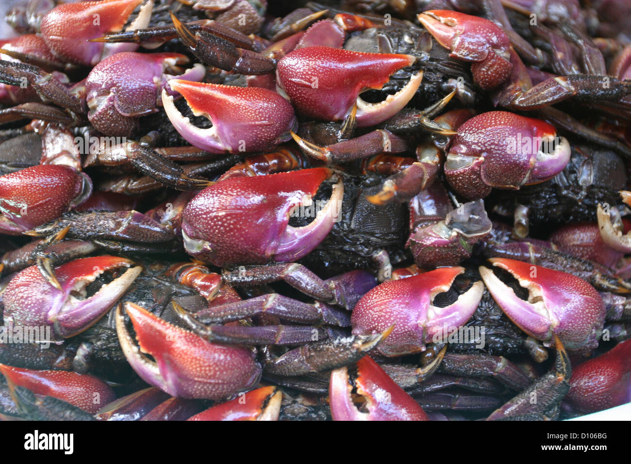 Pickled crab for sale in Phnom Penh's central market Stock Photo - Alamy